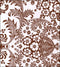 Buy Brown Toile Fabric - Toile in Brown Oilcloth Fabric By The Yard